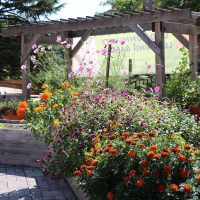 Community Learning Garden | Arboretum Outreach Center
